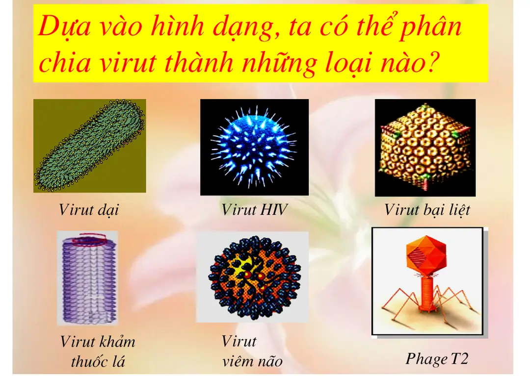 Tài liệu Bài 43: Cấu trúc các loài virut doc