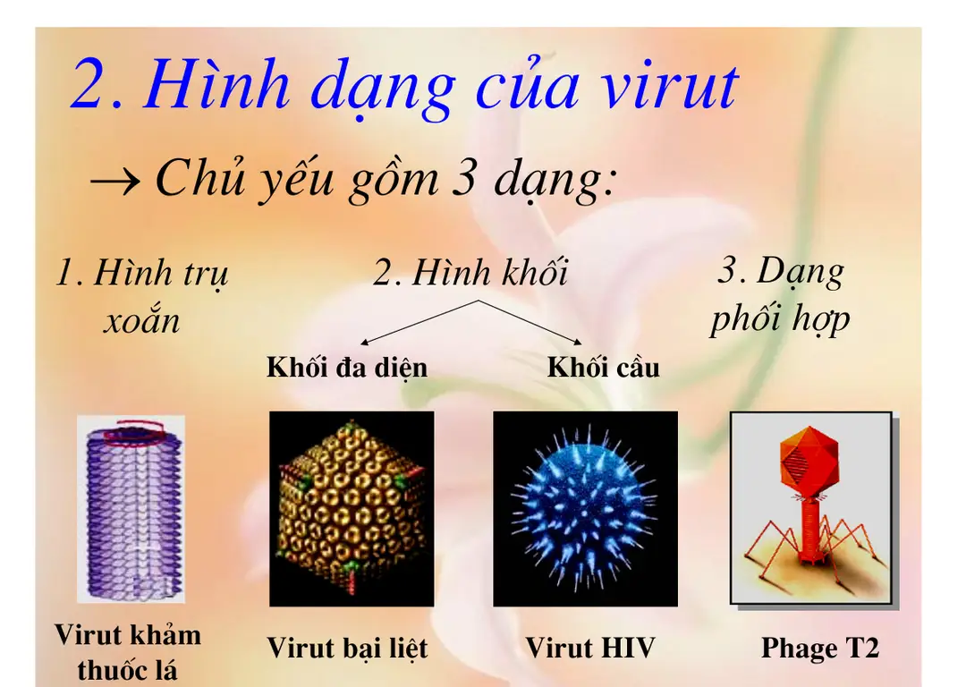 Tài liệu Bài 43: Cấu trúc các loài virut doc