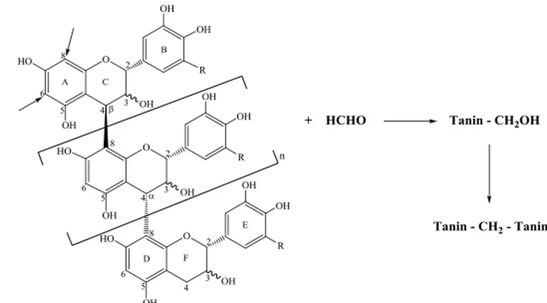 NGHIÊN CỨU XÂY DỰNG QUY TRÌNH TÓNG HỢP KEO TANNIN -FORMALDEHYDE QUY MÔ ...
