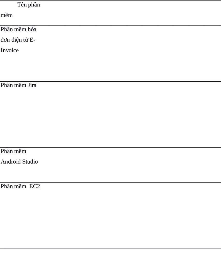 BÁO cáo THỰC tập TỔNG hợp đơn vị thực tập CÔNG TY cổ PHẦN PHẦN mềm BRAVO