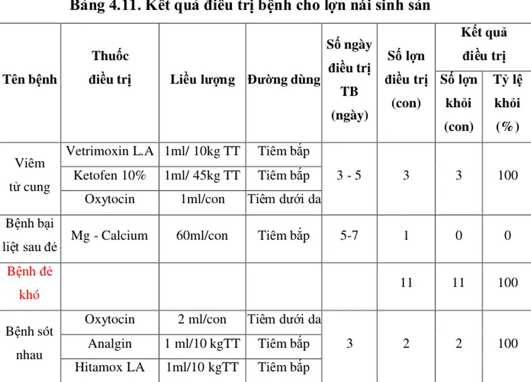 Áp dụng quy trình chăm sóc, nuôi dưỡng và phòng trị bệnh cho lợn nái ...