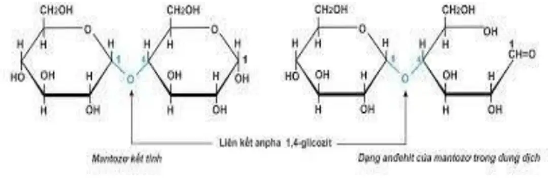 ĐỒ ÁN THIẾT KẾ QUY TRÌNH CÔNG NGHỆ XỬ LÝ , NHUỘM VÀ HOÀN TẤT VẢI DỆT ...