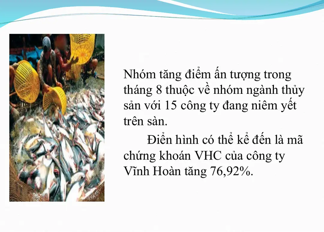 Giá chứng khoán tại SDGCK tp HCM Khái quát về chỉ số VN Index và sàn ...