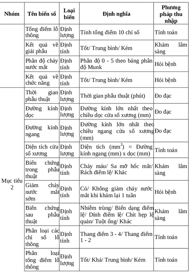 NGHIÊN CỨU ỨNG DỤNG PHẪU THUẬT NỘI SOI ĐIỀU TRỊ TẮC ỐNG LỆ MŨI (FULL TEXT)