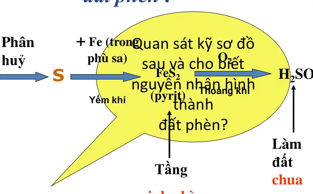BIỆN PHÁP CẢI TẠO VÀ SỬ DỤNG ĐẤT MẶN, ĐẤT PHÈN