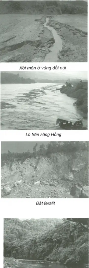 Lý thuyết và câu hỏi trắc nghiệm đặc điểm chung của tự nhiên Việt Nam