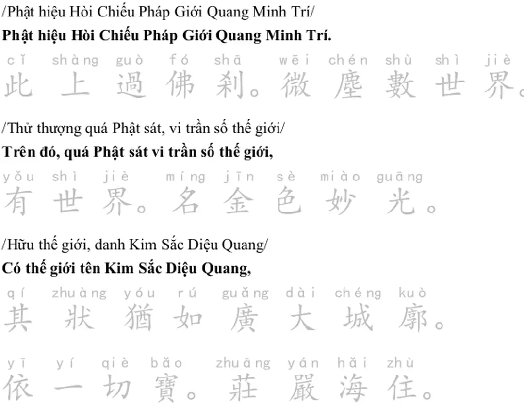 9. Chép Kinh Chữ Hán_Đại Phương Quảng Phật Hoa Nghiêm Kinh (Quyển 9)