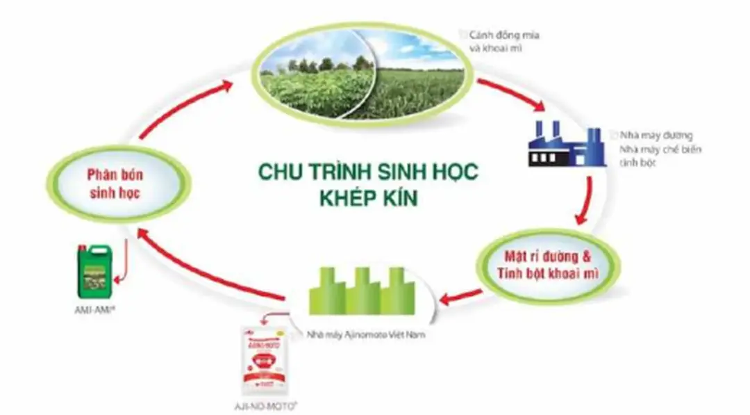 PHÂN TÍCH CHI c s n PH ến lượ ả ẩm cà PHÊ LON BIRDY c a CÔNG TY ủ ...