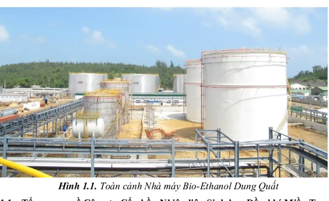 BÁO cáo THỰC tập CÔNG TY CP NHIÊN LIỆU SINH học dầu KHÍ MIỀN TRUNG