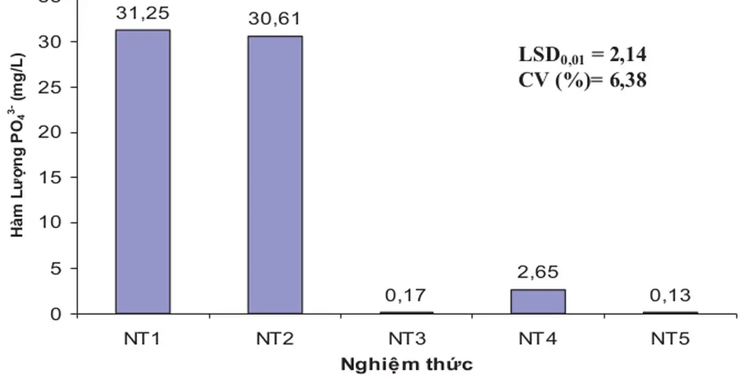 ỨNG DỤNG VI KHUẨN kết tụ kết hợp hóa CHẤT PAC + POLYMER và CÁNH ĐỒNG ...