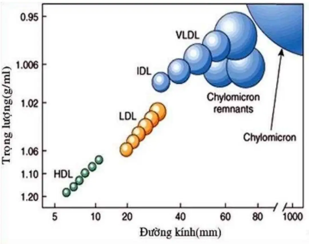 Ứng dụng laser bán dẫn công suất thấp trong điều trị rối loạn lipid máu ở bệnh nhân liệt nửa ...