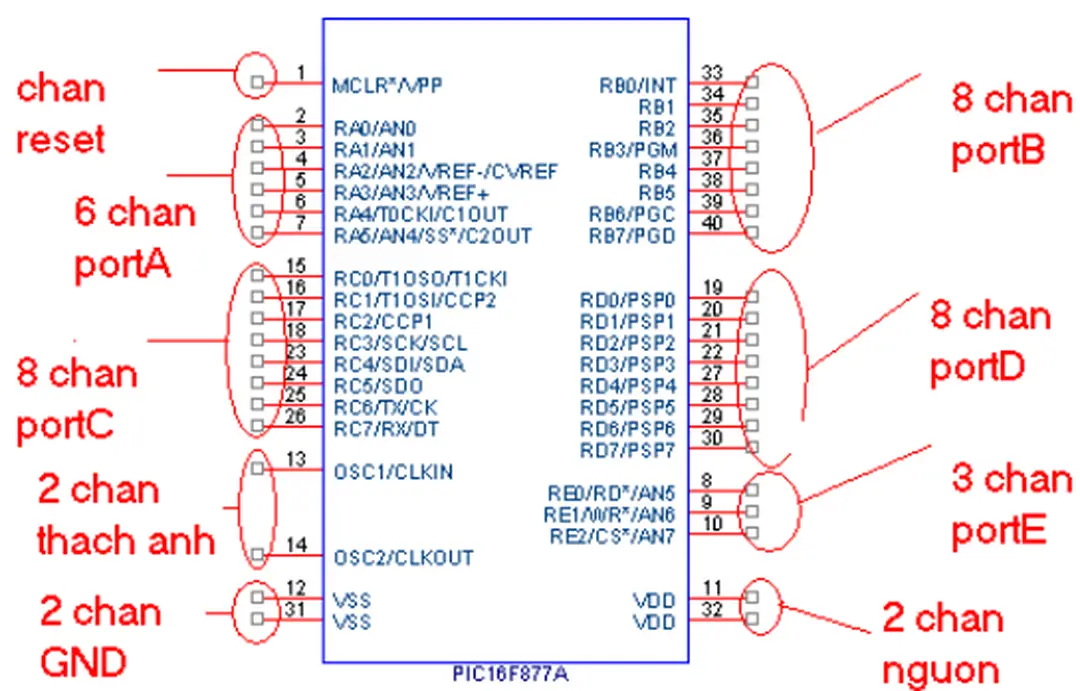 Lập trình PIC16F877A điều khiển tốc độ động cơ DC
