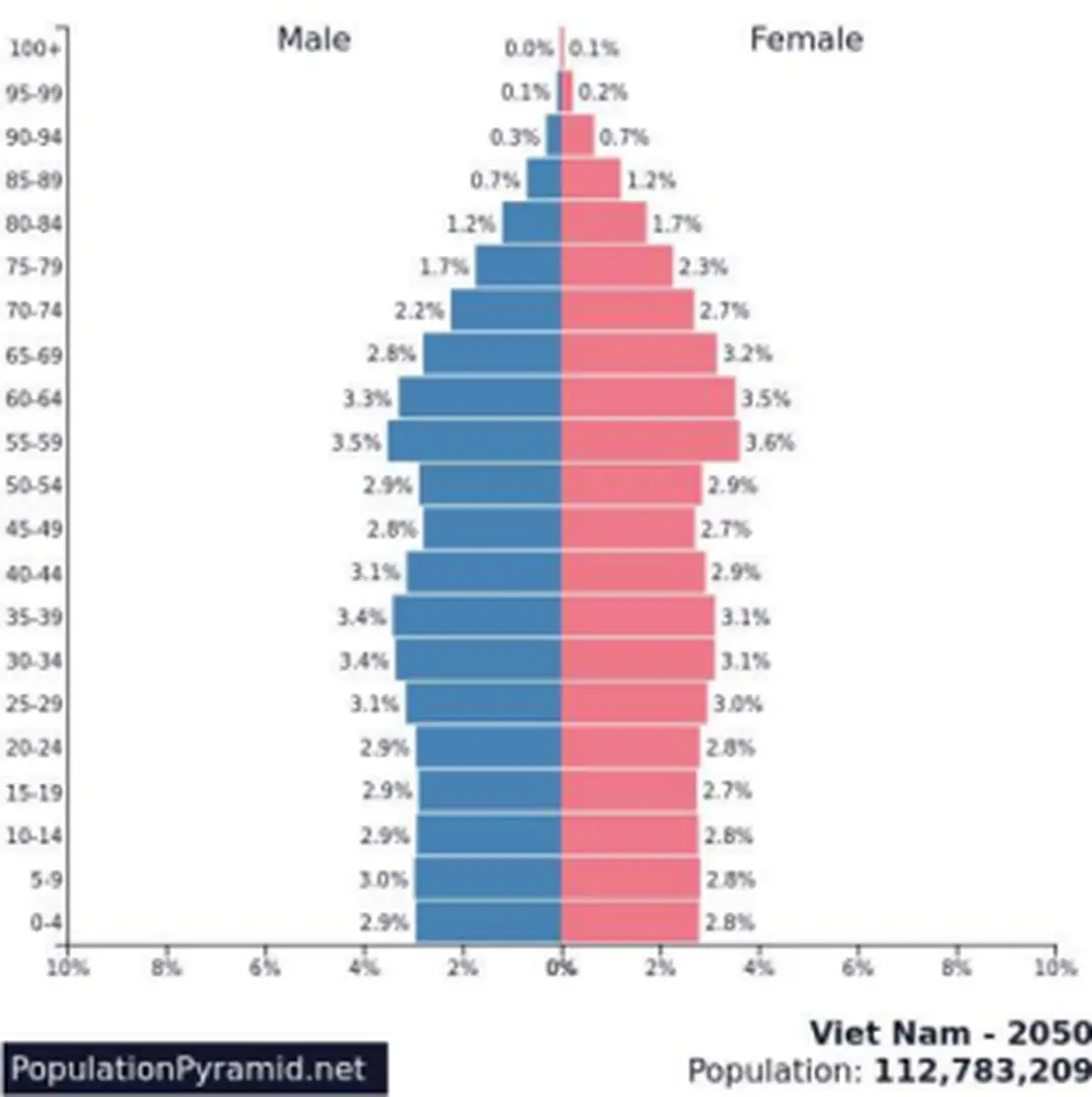 Phân tích tài chính và định giá cổ phiếu TRA của CTCP traphaco
