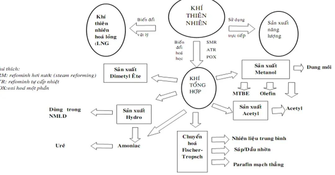 MÔ PHỎNG QUÁ TRÌNH CHUYỂN hóa tại CHỖ KHÍ ĐỒNG HÀNH THÀNH NHIÊN LIỆU ...
