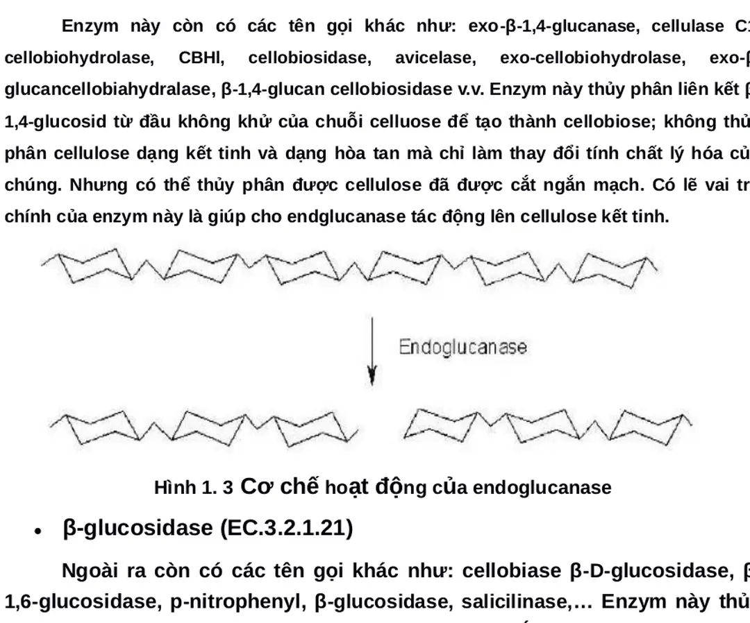 Nghiên cứ u chế tạo vật liệu aerogel cellulose từ phế phụ phẩm nông ...