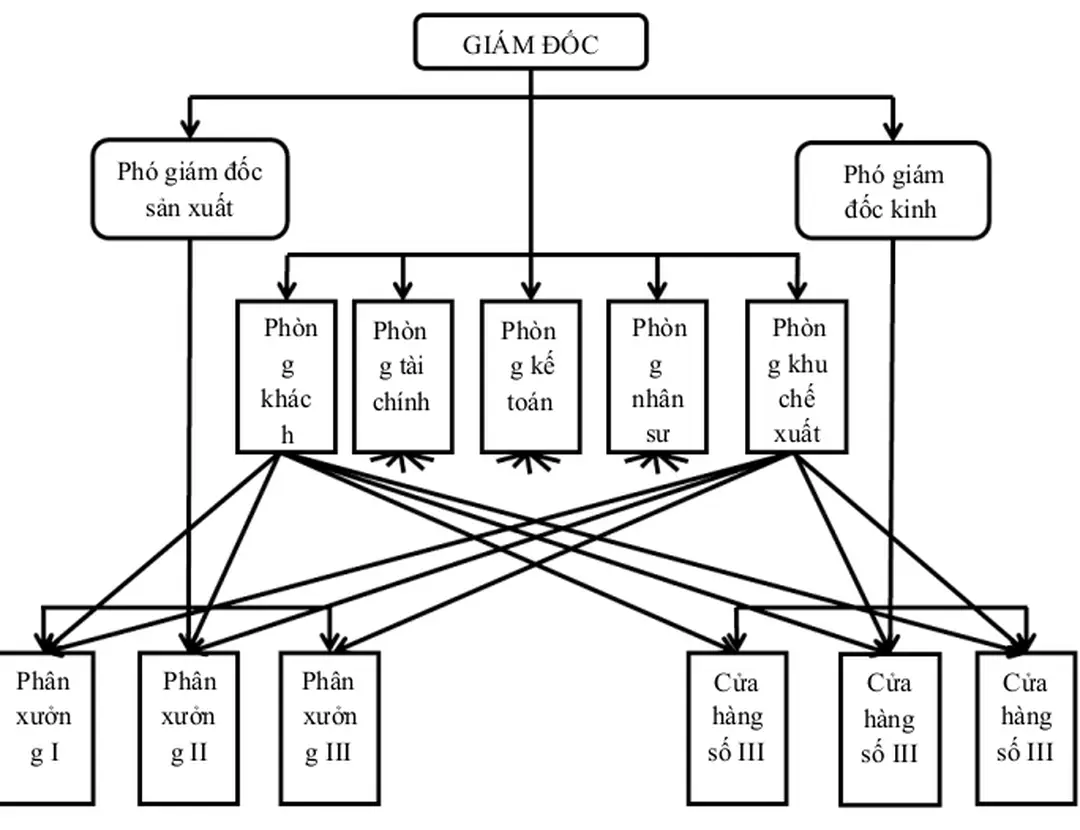 (TIỂU LUẬN) t i u công t c t ch c b ph n nhân s t i công ty TNHH th nh ph t vi na