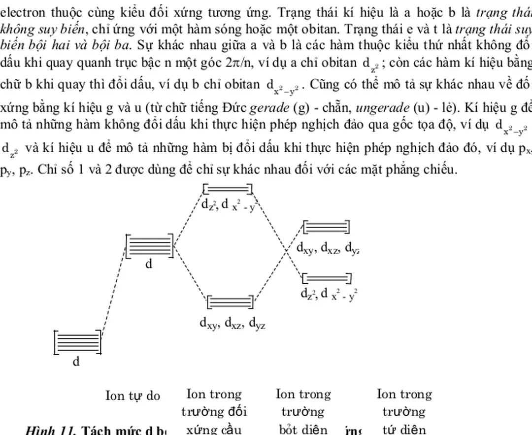 liên kết hóa học trong phức chất