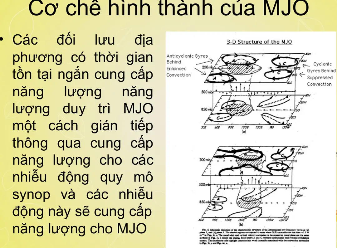 BÁO CÁO ĐỀ TÀI "DAO ĐỘNG KHÍ HẬU" pdf