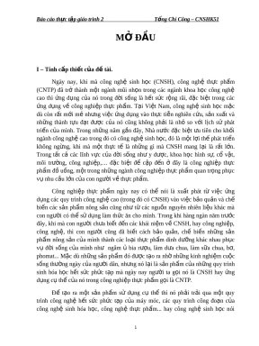 Tìm hiểu quy trình công nghệ sản xuất bia đóng chai tại tổng công ty cổ ...