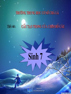 tiet 44-cau tao trong cua chim bo cau