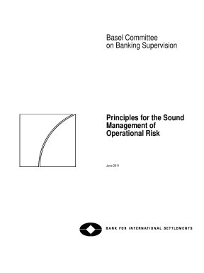 Tài liệu Principles for the Sound Management of Operational Risk pptx