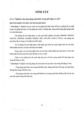 nghiên cứu ứng dụng malt thóc trong đồ uống có cồn