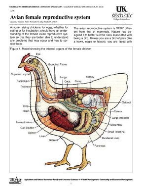 Tài liệu Avian female reproductive system pptx