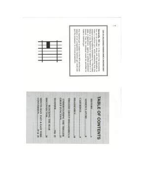 sks variants full -auto conversion
