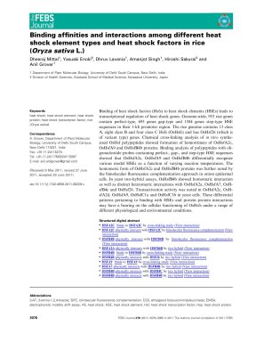 Báo cáo khoa học: Binding afﬁnities and interactions among different ...