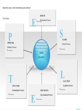 biểu đồ ma trận phân tích pest dạng liên kết, pest analysis matrix chart