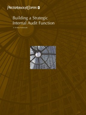 Building a Strategic Internal Audit Function: A 10-Step Framework potx