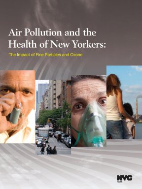 Air Pollution and the Health of New Yorkers: The Impact of Fine ...
