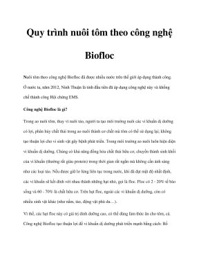 Quy trình nuôi tôm theo công nghệ Biofloc pdf