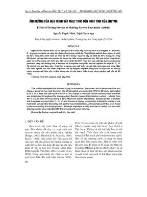 Báo cáo "Ảnh hưởng của quá trình sấy malt thóc đến hoạt tính của enzyme ...