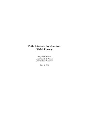 path integrals in quantum field theory