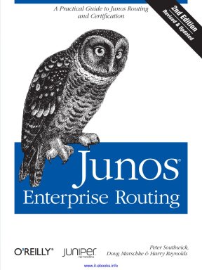 junos enterprise routing 2nd edition