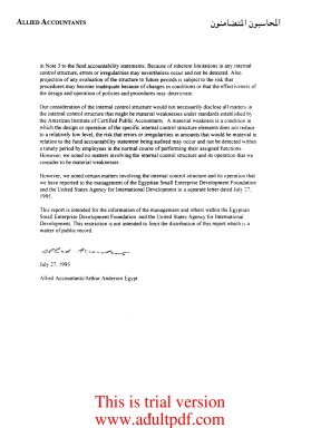 Regional Inspector General for Audit Cairo, Egypt_part3 ppt