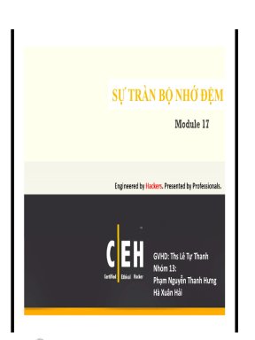 Giáo trình CEH v7 tiếng việt chương 17 buffer overflow