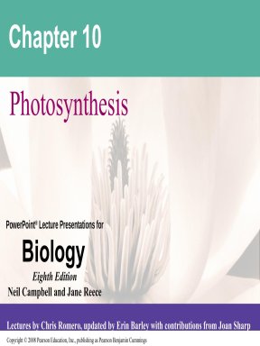 Photosynthesis - Chapter 10 potx