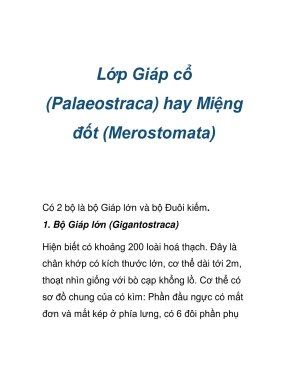 Lớp Giáp cổ (Palaeostraca) hay Miệng đốt (Merostomata) pdf