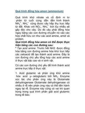 Quá trình đồng hóa amon (ammonium) pdf