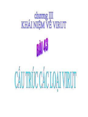 Bài 43: Cấu trúc các loại virut