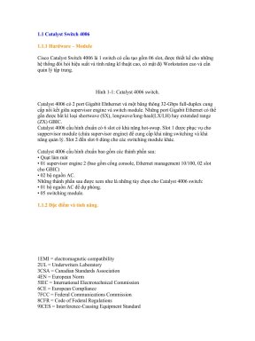 Catalyst Switch 4006 doc