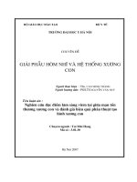 Hình dạng, cấu tạo - Giải phẫu hòm nhĩ và hệ thống- 123docz.net