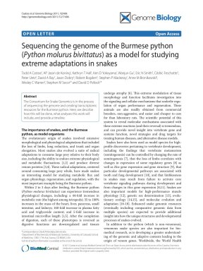 Báo cáo y học: "Sequencing the genome of the Burmese python (Python ...