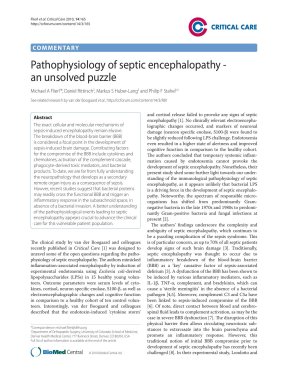 Báo cáo y học: "Pathophysiology of septic encephalopathy an unsolved ...