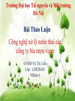 Công nghệ xử lý nước thải của công ty bia rượu viger