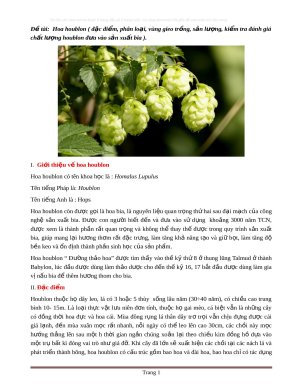 giới thiệu về hoa houblon