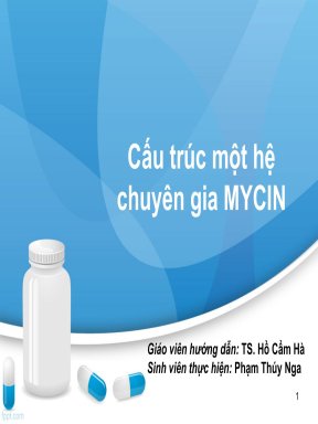 Cấu trúc một hệ chuyên gia MYCIN - Tài liệu text