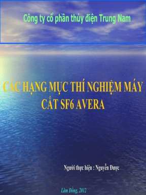 CÁC HẠNG MỤC THÍ NGHIỆM MÁY CẮT SF6 AVERA